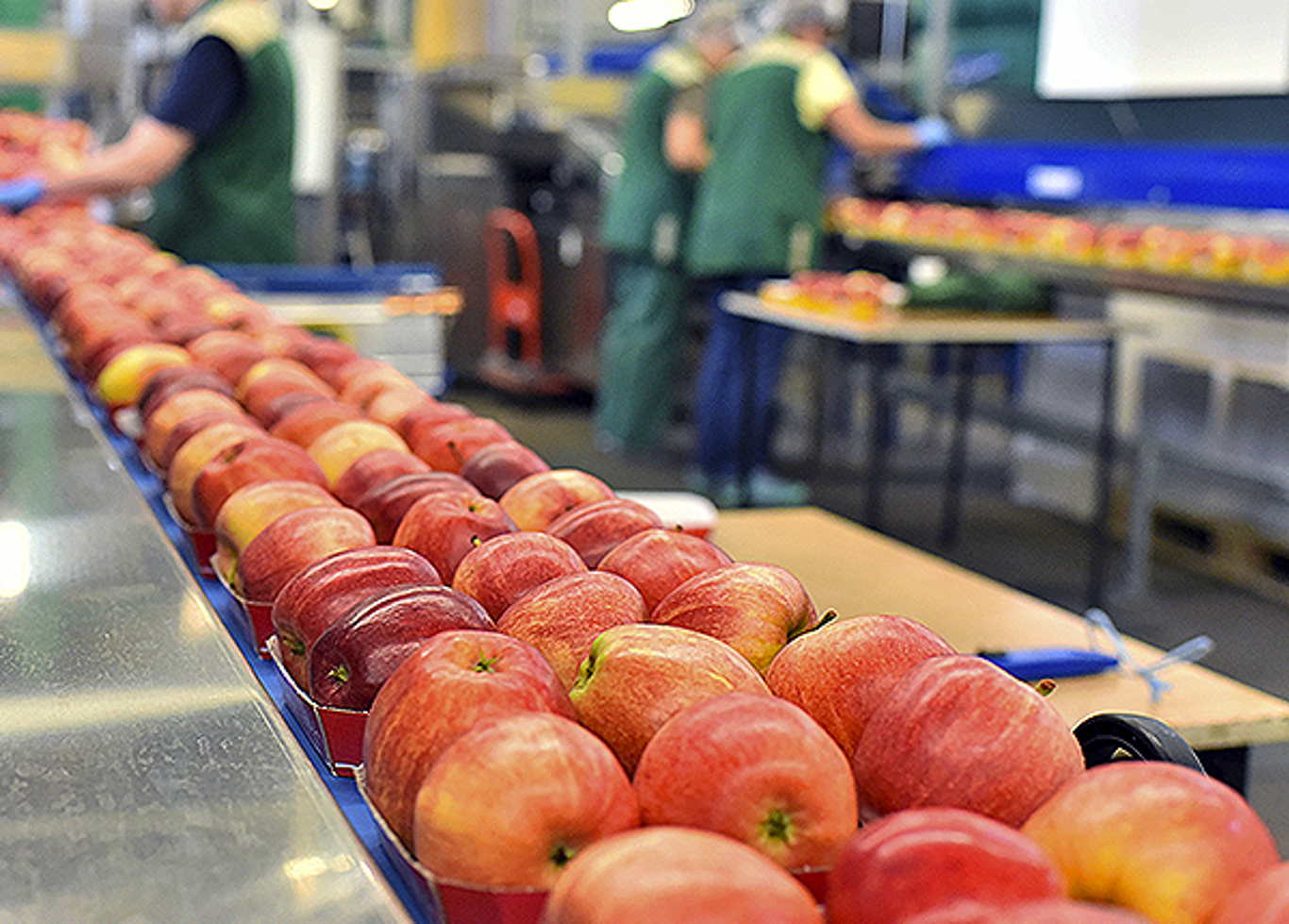 Food and Beverage Insurance | Alliant