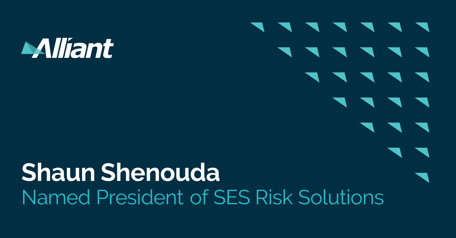 Shaun Shenouda Named President of SES Risk Solutions