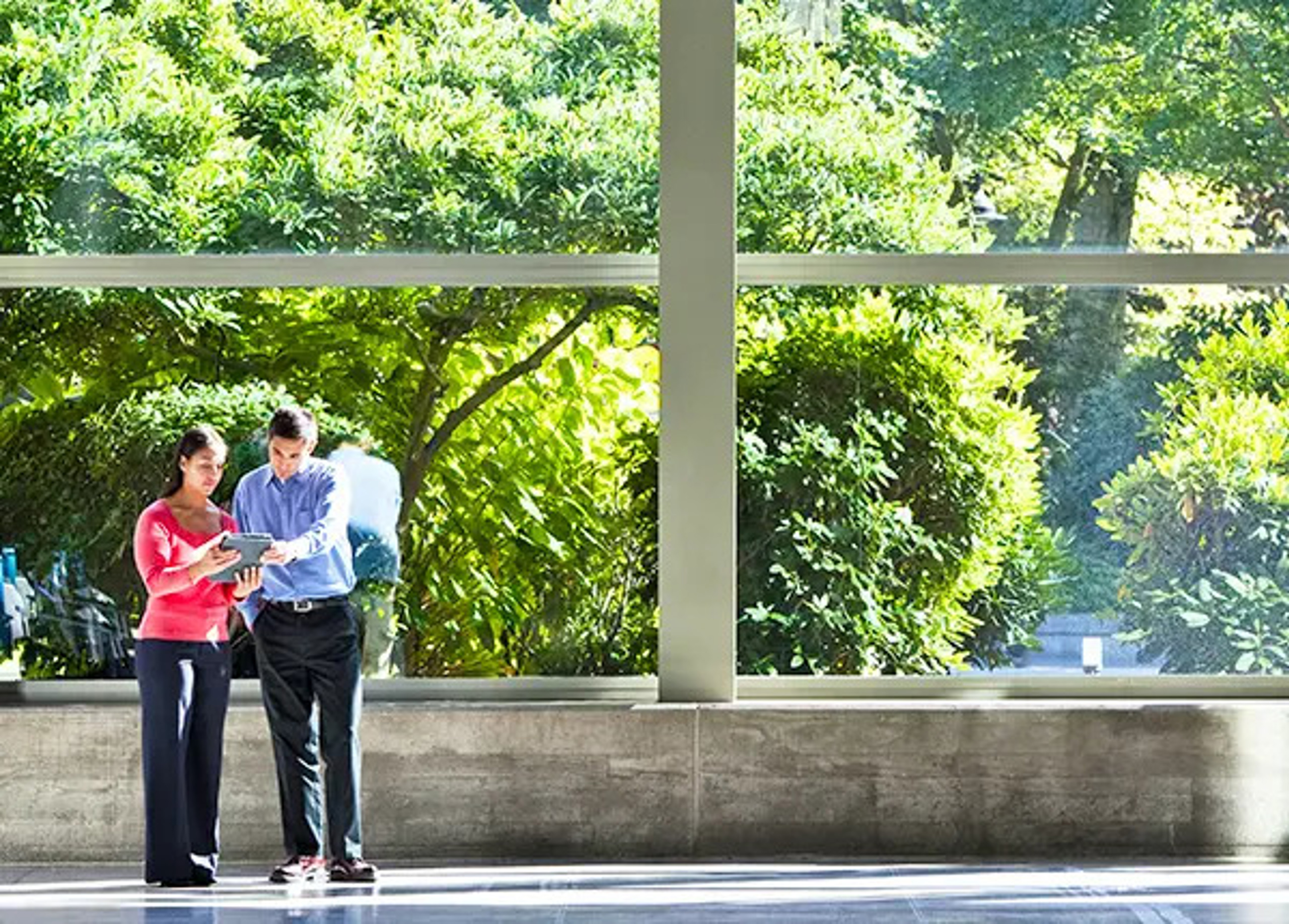 Forestry Insurance Solutions