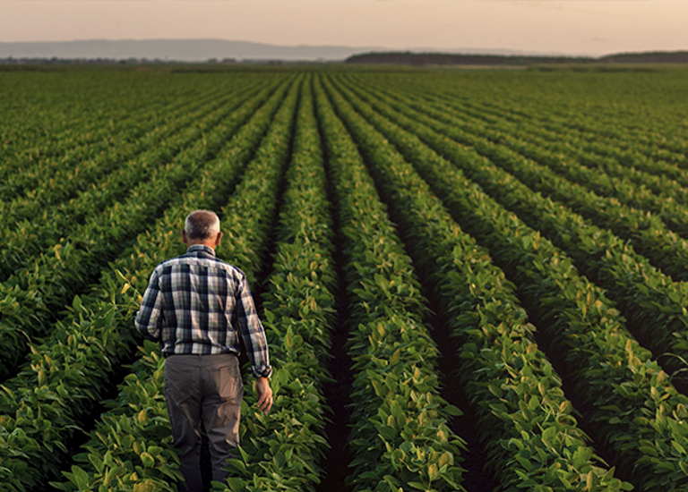 Comprehensive Farm Insurance Coverage | Alliant